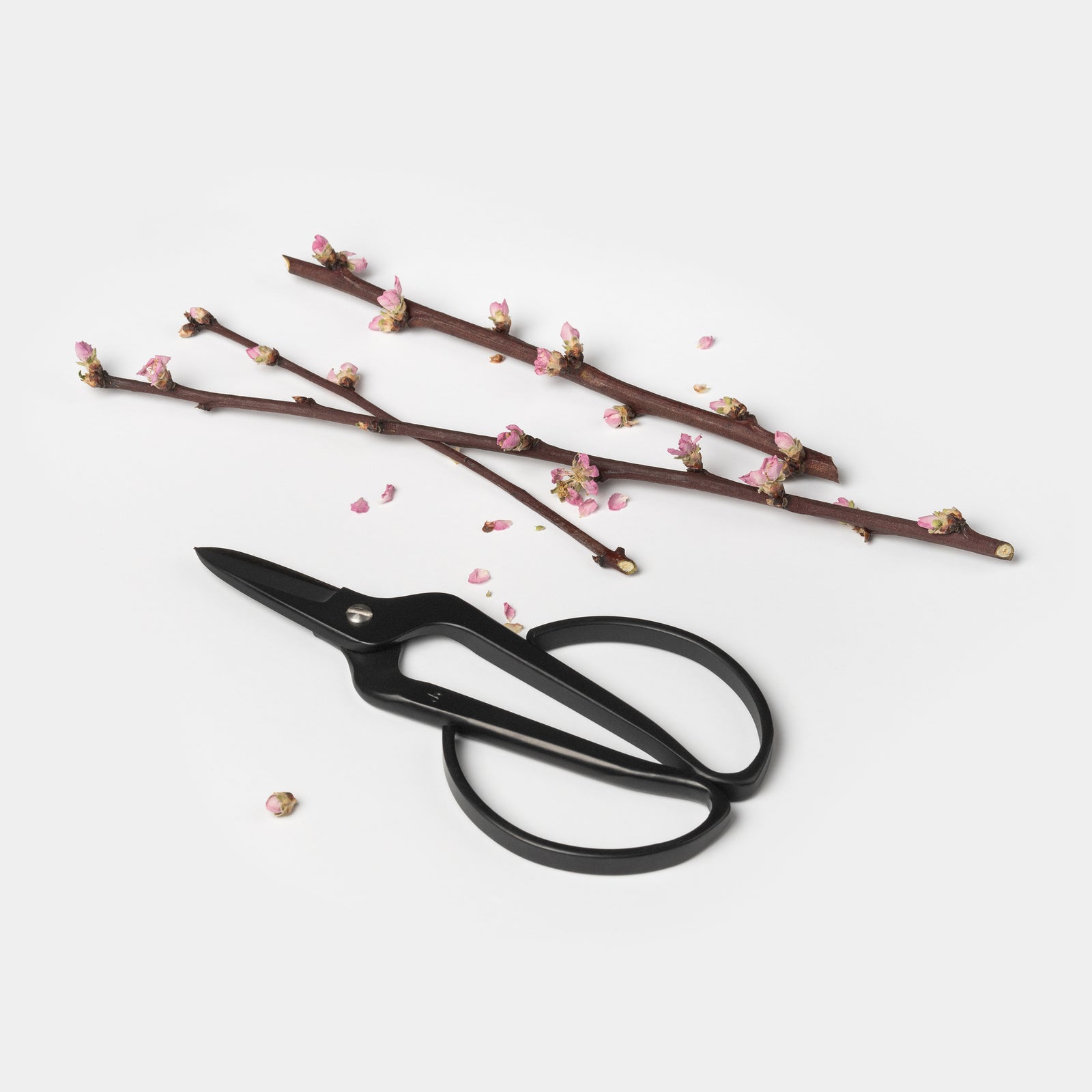Kobayashi Scissors for Precision Gardening | The Harvester and Florist
