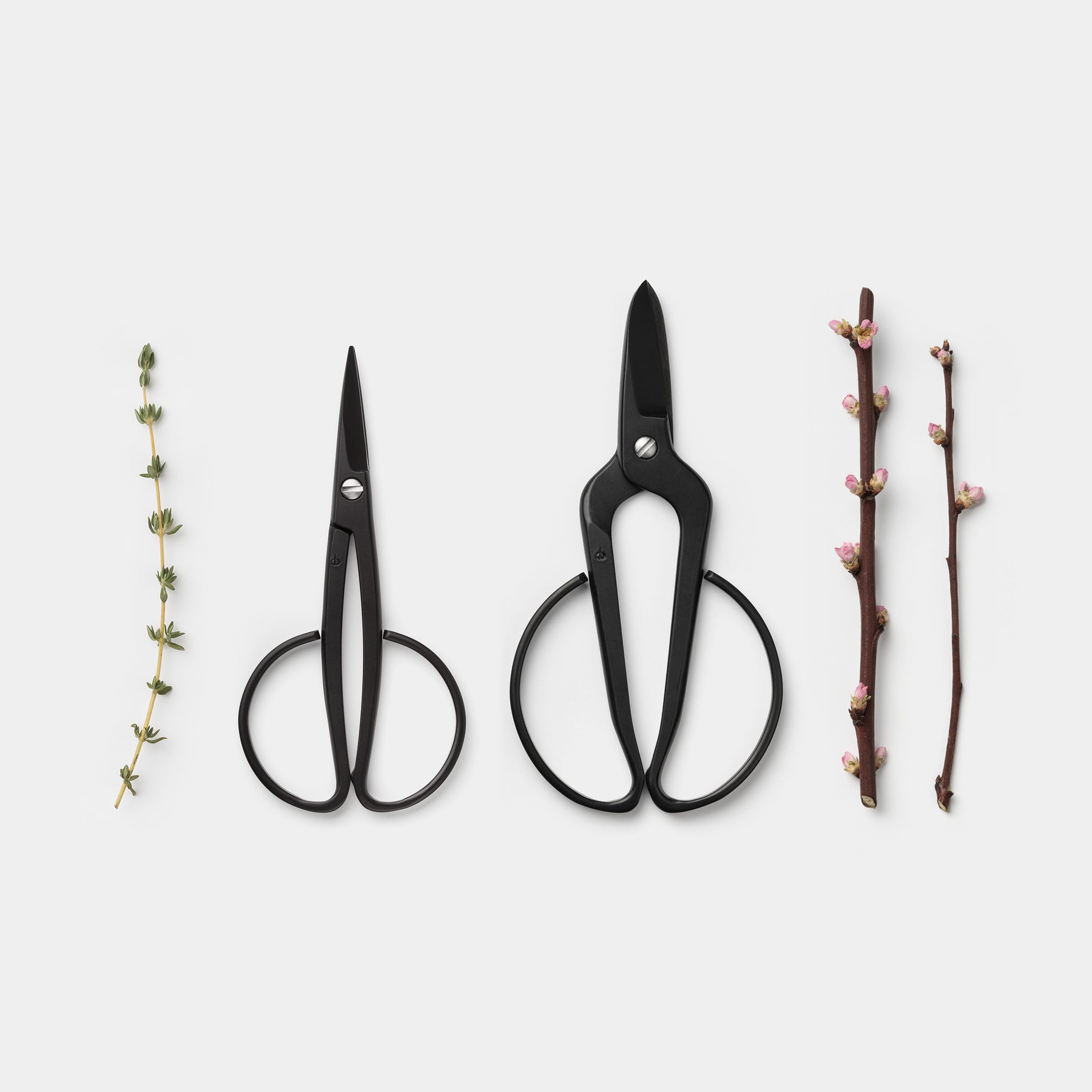 Kobayashi Scissors for Precision Gardening | The Harvester and Florist