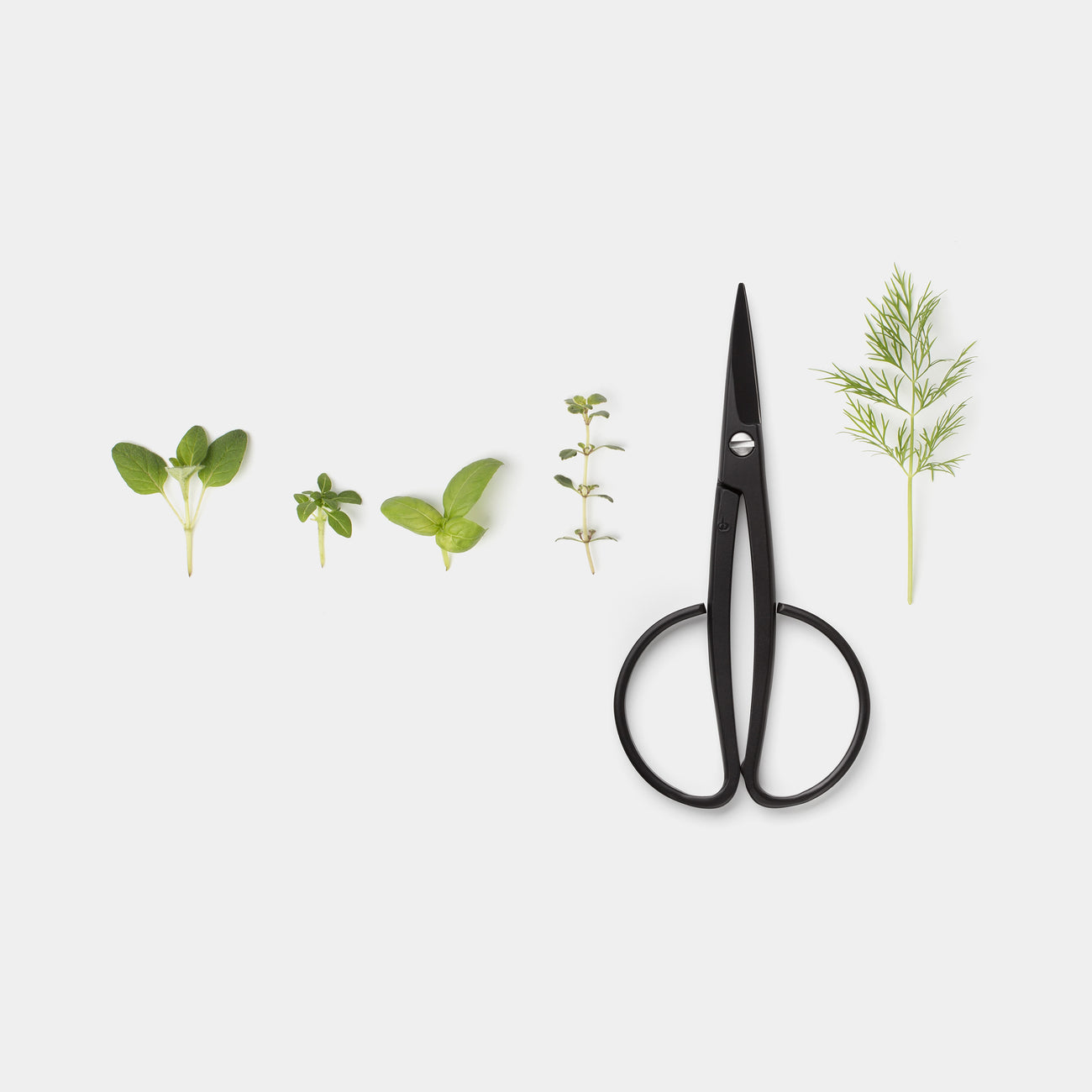 Kobayashi Scissors for Precision Gardening | The Harvester and Florist